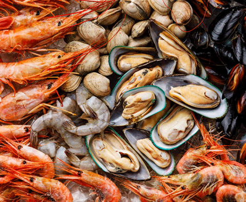 Poissonnerie de France - La poissonnerie à Chaumont-Gistoux